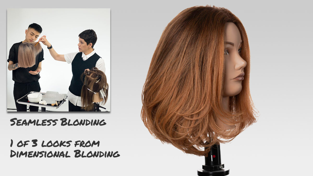 Seamless Blonding - Hairbrained Live Academy
