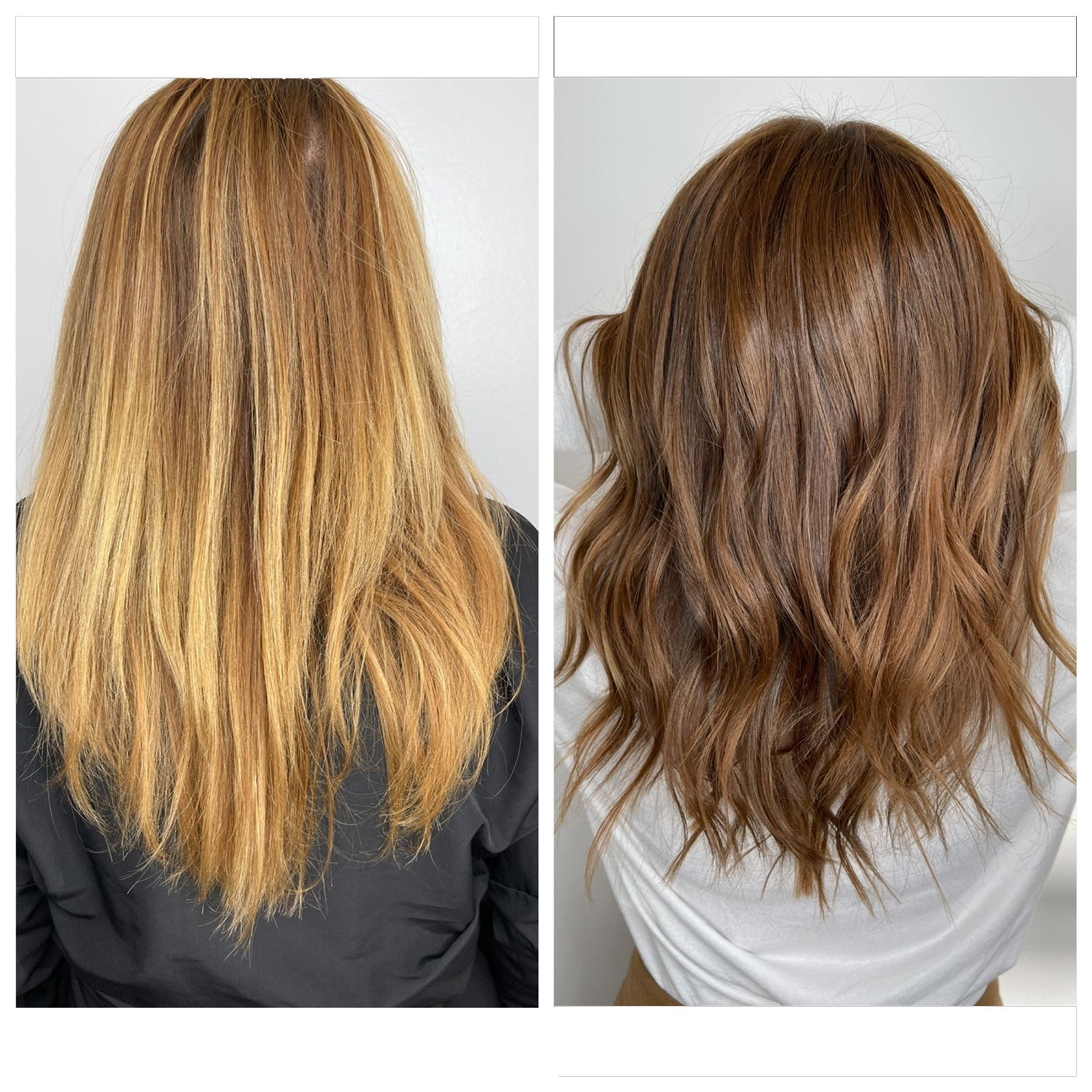 Tint Back to Natural - Hairbrained Live Academy