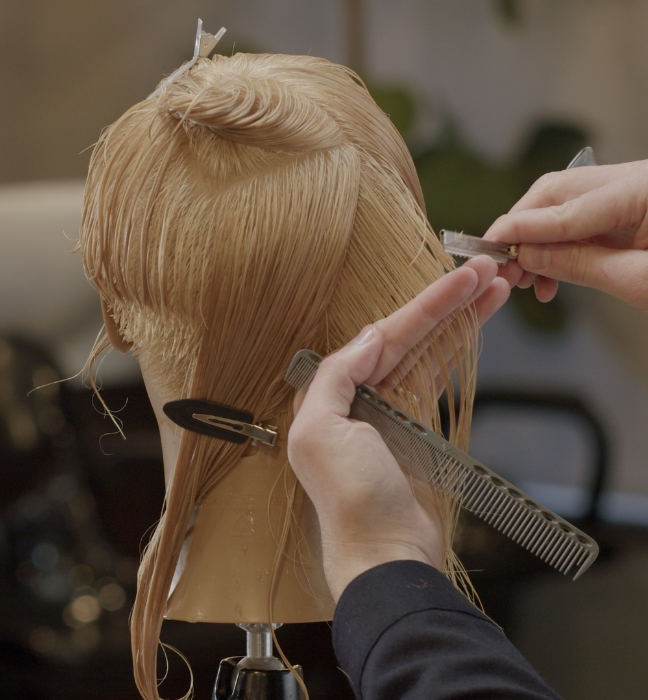 Creative Potential - Hairbrained Live Academy