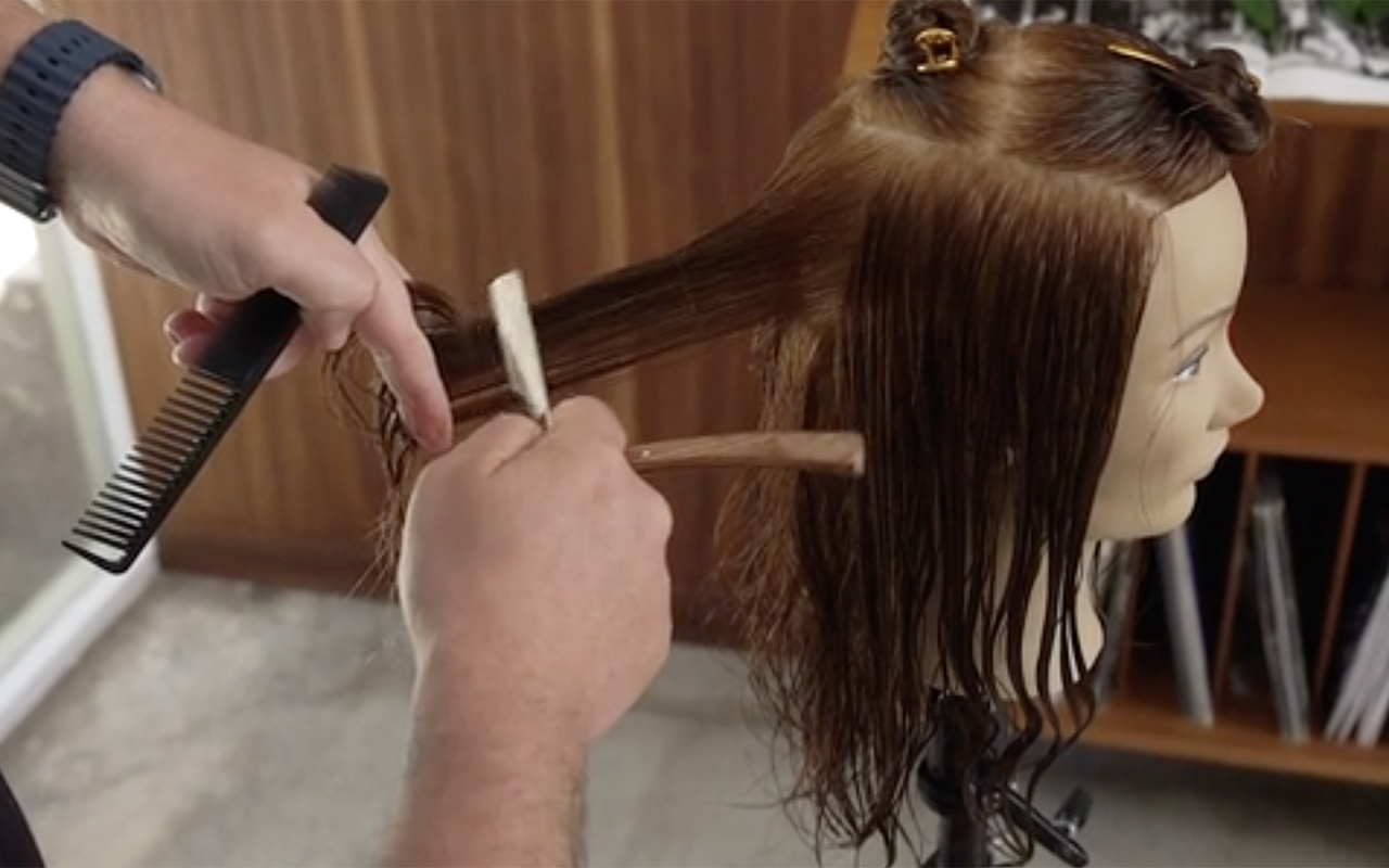 Skip Razor Vol. 2 - Hairbrained Live Academy